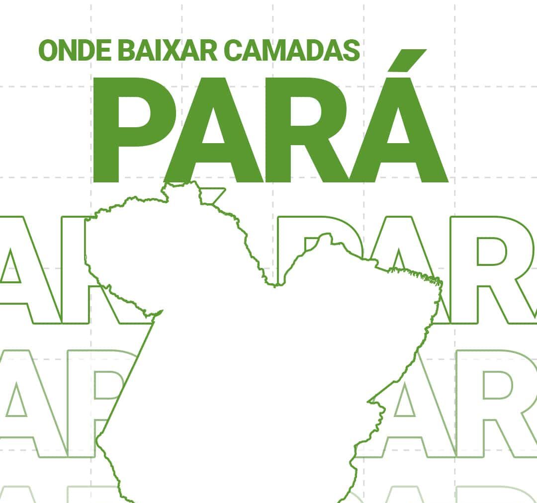 Download Shapefiles do Rio Grande do Sul - Clube do GIS